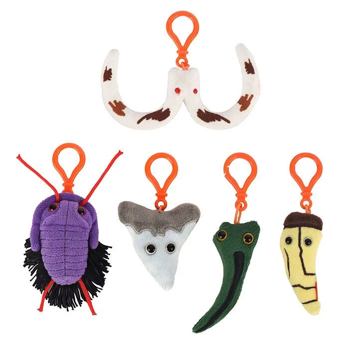 Giant Microbes Dinosaur Fossils – Okanagan Science Centre